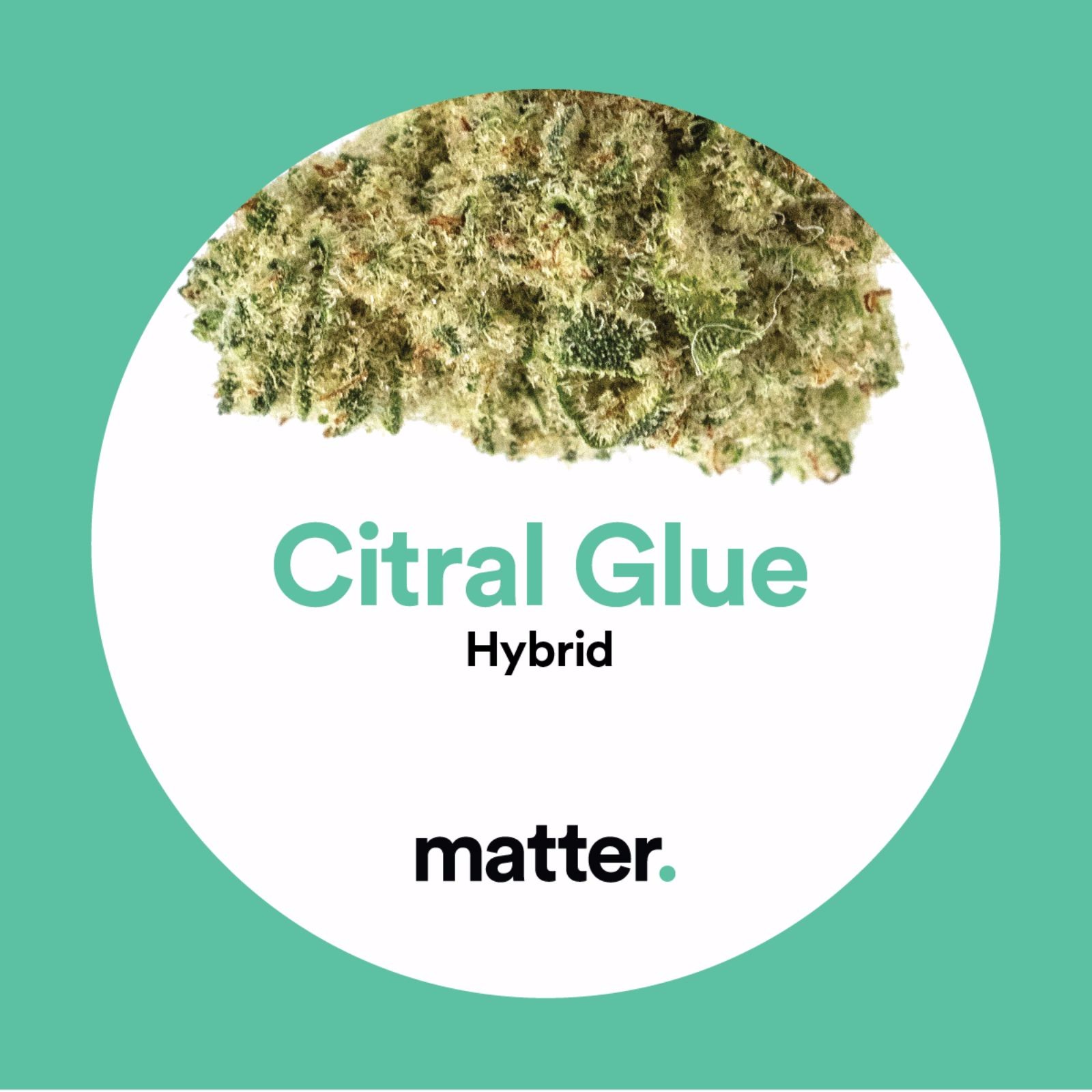 matter.: Citral Glue | Leafly matter.: Citral Glue | Leafly